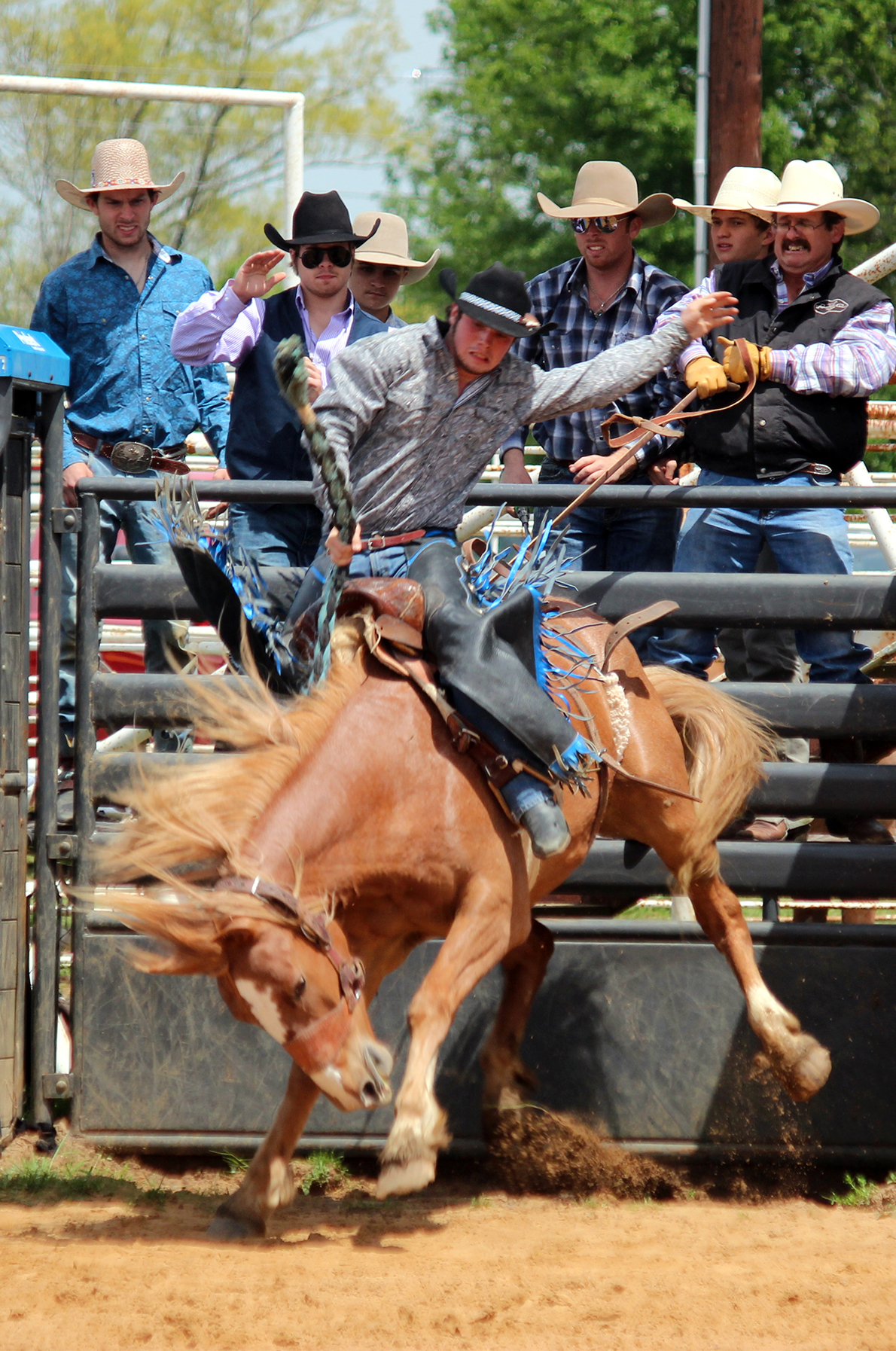 Eagles Rodeo hosts annual Kid Rodeo | Northeast Texas Community College