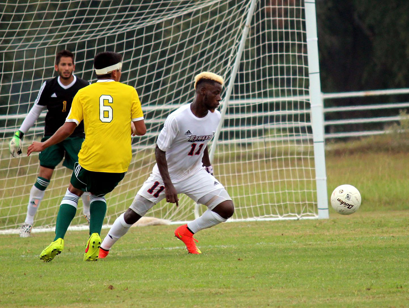 NTCC men's soccer climbs the ranks to fifth in the nation | Northeast ...